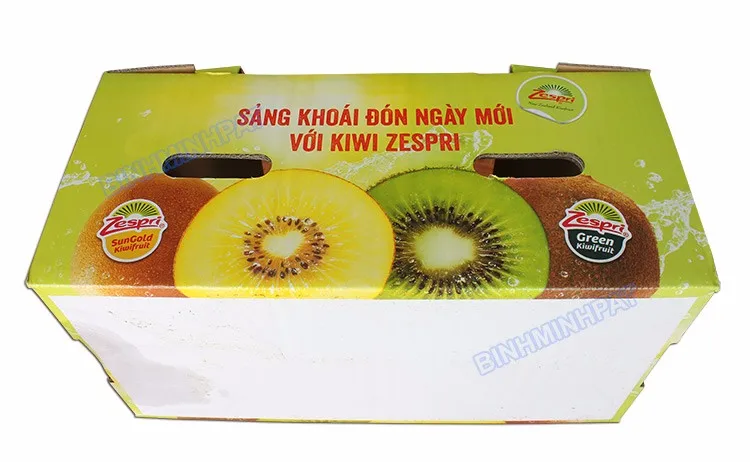 Kiwi Fruit Packaging Corrugated Carton Box Single Wall Fruit Shipping ...