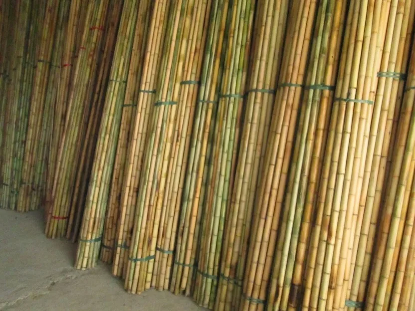 Bamboo Poles - Buy Raw Bamboo Poles,Bamboo Pole For Make The Fence ...