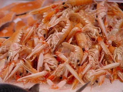 Shrimp Shell Meal,Shrimp Waste For Animal Feed - Buy Shrimp Head Shell ...