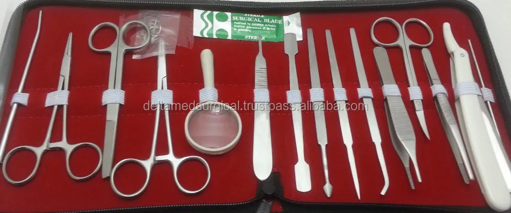 Entomology Dissection Set - Insect Study Kit - Buy Entomology ...