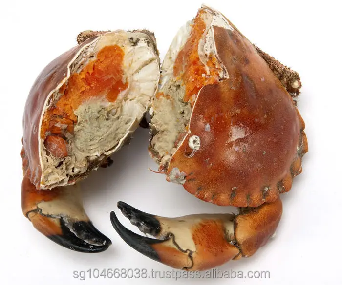 Frozen Brown Crab - Cancer Pagurus - Buy Frozen Brown Crab,Cancer ...