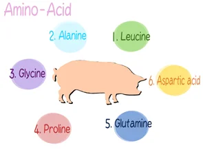 Japanese Spf Pig Placenta For Healthy Body,Small Lot Order Available ...