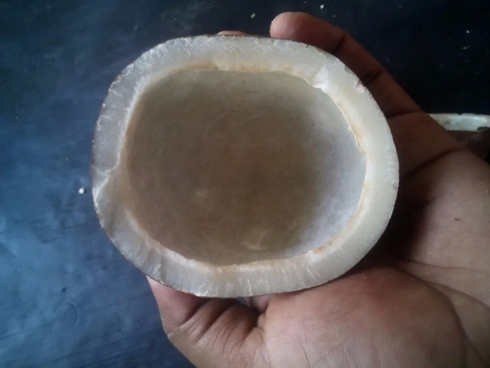 High Quality Dried Coconut Copra From India/coconut Dry Copra/half Cut ...