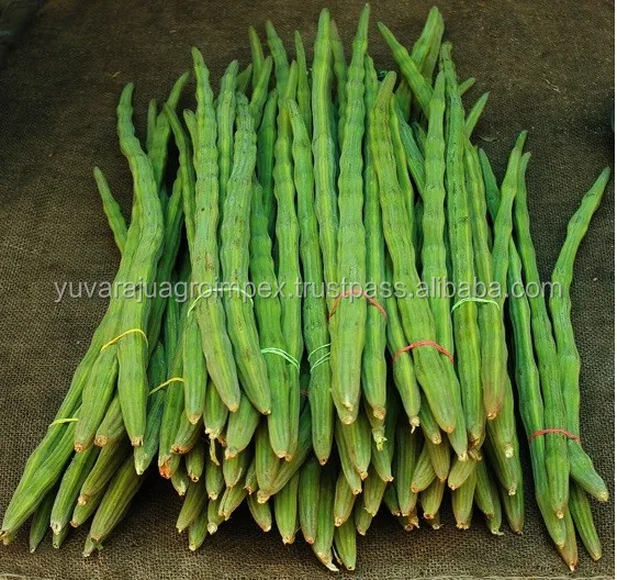 Fresh Indian Vegetables Exporter From India - Buy Fresh Vegetable ...