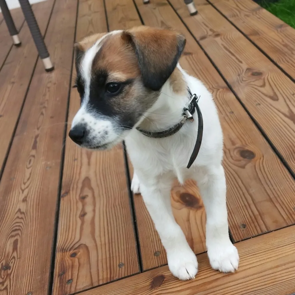 Датчик уровня подвески фары, датчик высоты подвески для Toyota, для ...