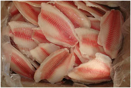 Fresh Basa/catfish/pangasius Bocourti From Vietnam At Best Price High ...
