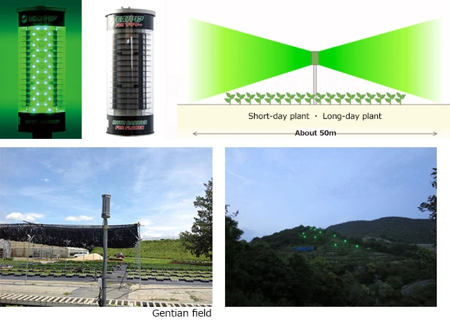 Innovative Insect Light Traps Anti Moth Led Made In Japan - Buy Insect ...