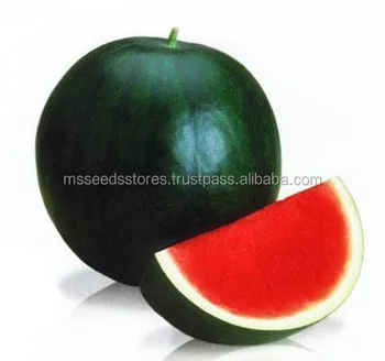Black Tiger Hybrid Watermelon Seeds - Buy F1 Watermelon Seed,F1 Hybrid ...