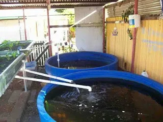 2000l Food Grade Large Plastic Fish Tubs - Buy Aquaculture Tarpaulin ...