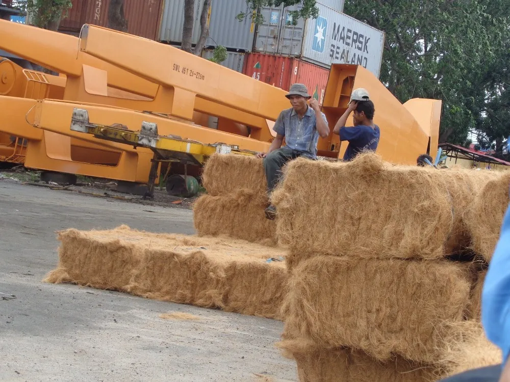 Coconut Erosion Control Blanket /coco Fiber/ Coconets/coconet For Slope ...