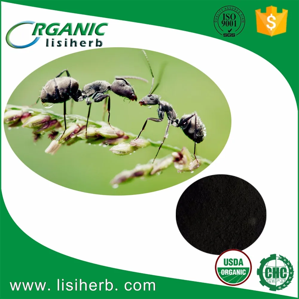 Men's Sex Products Black Ants Powder Extract - Buy Black Ants Powder ...