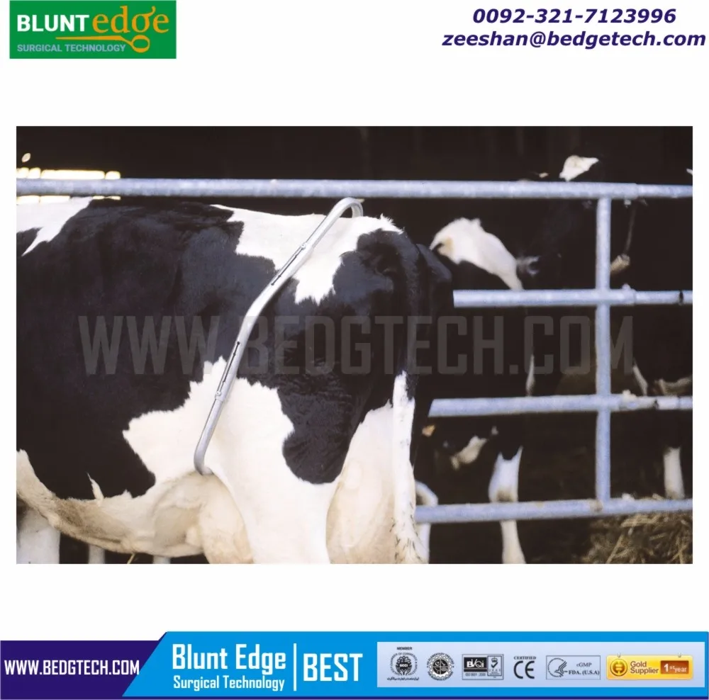 Anti Kick Bar/cow Anti Kick Ba - Buy Stainless Steel Anti Kick Bar ...