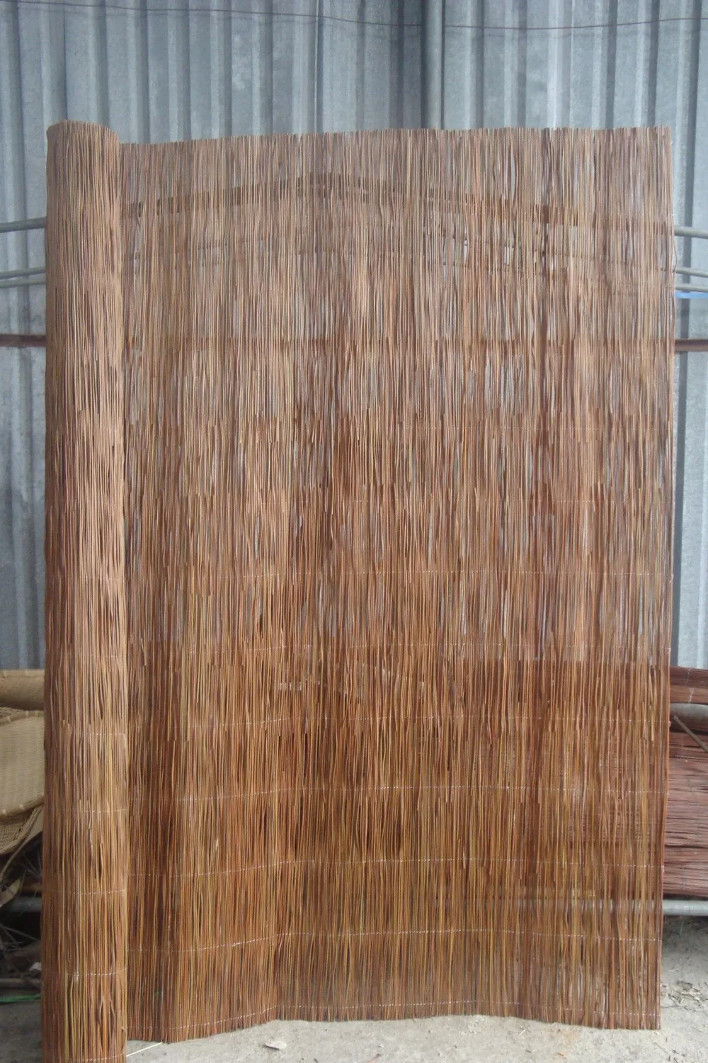 Rolled Fern Reed Screen 3105 - Buy Rolled Fern Reed Screen,Garden Fern ...