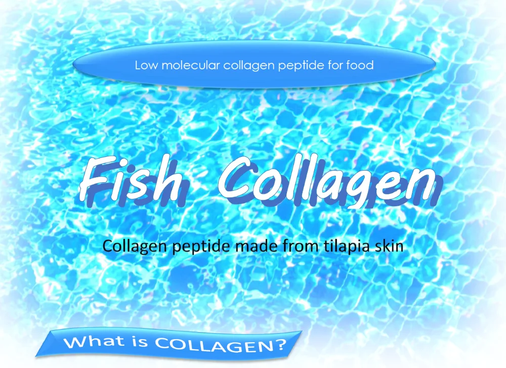 Japanese High Quality Fish Collagen Raw Material Powder From Tilapia ...