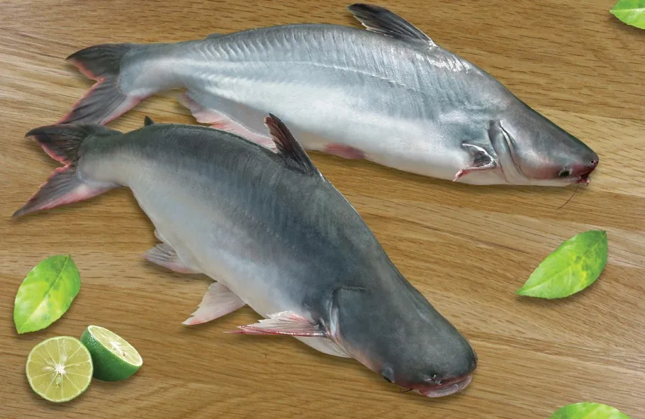 Frozen Hala Pangasius/basa Fish/swai Fish - Buy Vietnamese Pangasius ...
