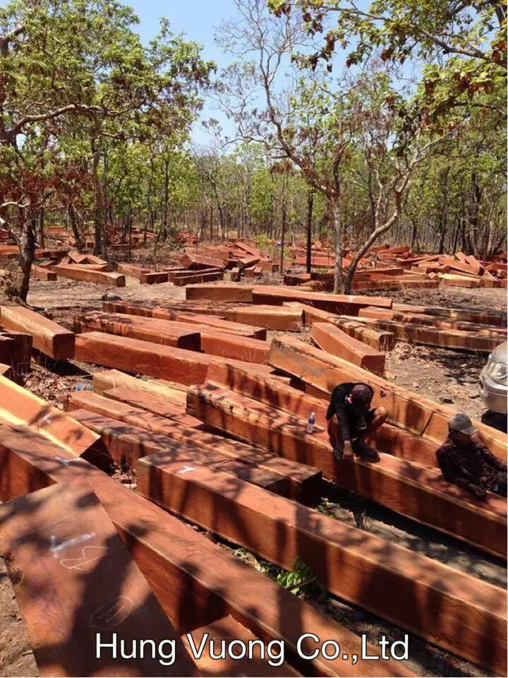 High Quality Red Pyinkado Xylia Dolabriformis From Cambodia - Buy Burma ...