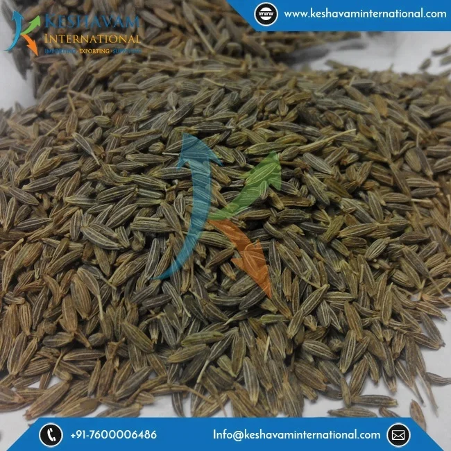 Bulk Supplier Of All Types Of Jeera/ Best Jeera Cumin Seeds Price In ...