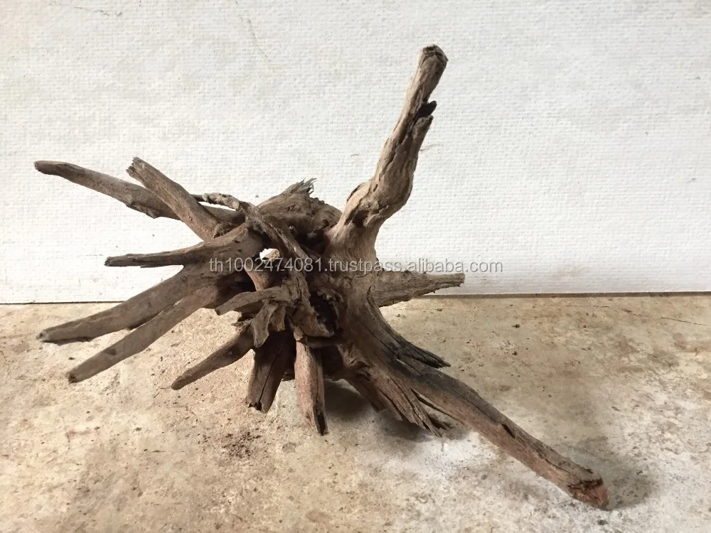 Erawan Design - Unique Tree Roots Driftwood for Aquariums