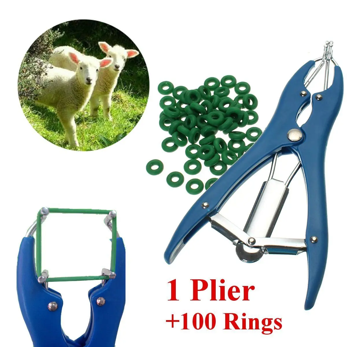 Wholesale Stainless Steel Castration Ring Plier Sheep Castration Pliers - Buy Castration Ring ...
