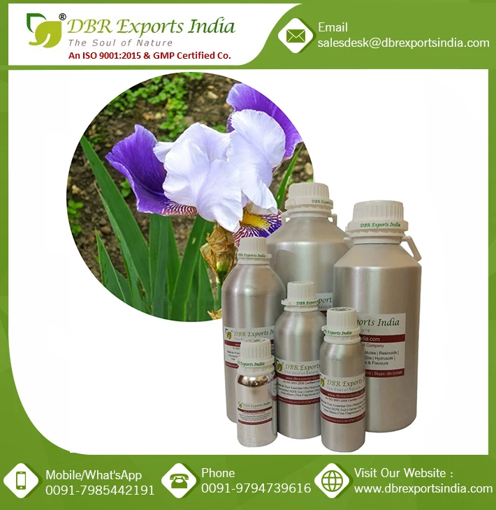 GMP Certified Iris Pallida Orris Abs Oil - Natural Perfume Fixative