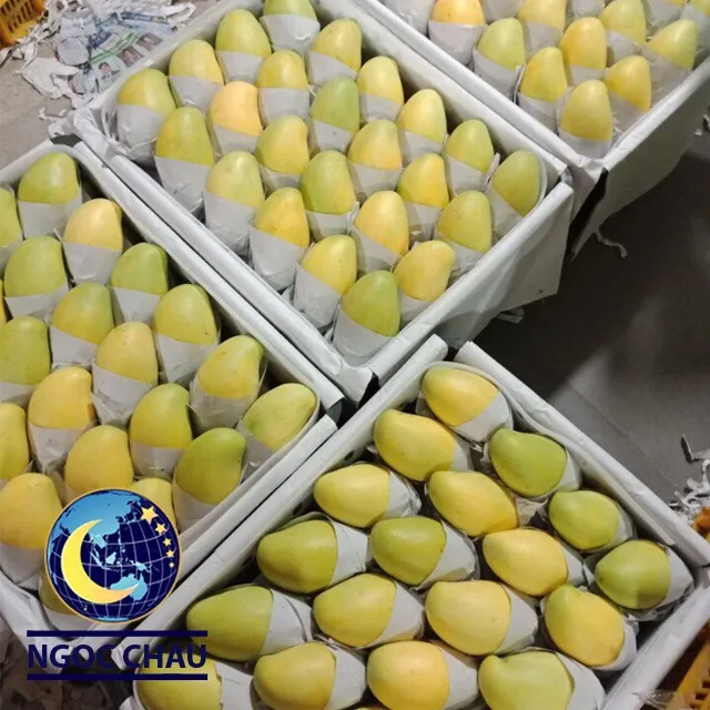 Fresh Keo Mango With High Quality And Best Price - Buy Keo Mango,Mango ...