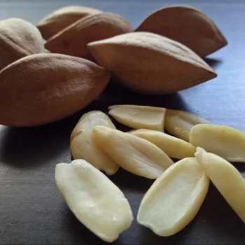 Pili Nuts - Buy Pili Nuts For Sale,Organic Pili Nuts,Raw Pili Nuts For ...