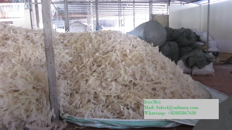 Dried Fish Maw,Dried Pangasius Fish Bladder For Export - Buy Dried Fish ...