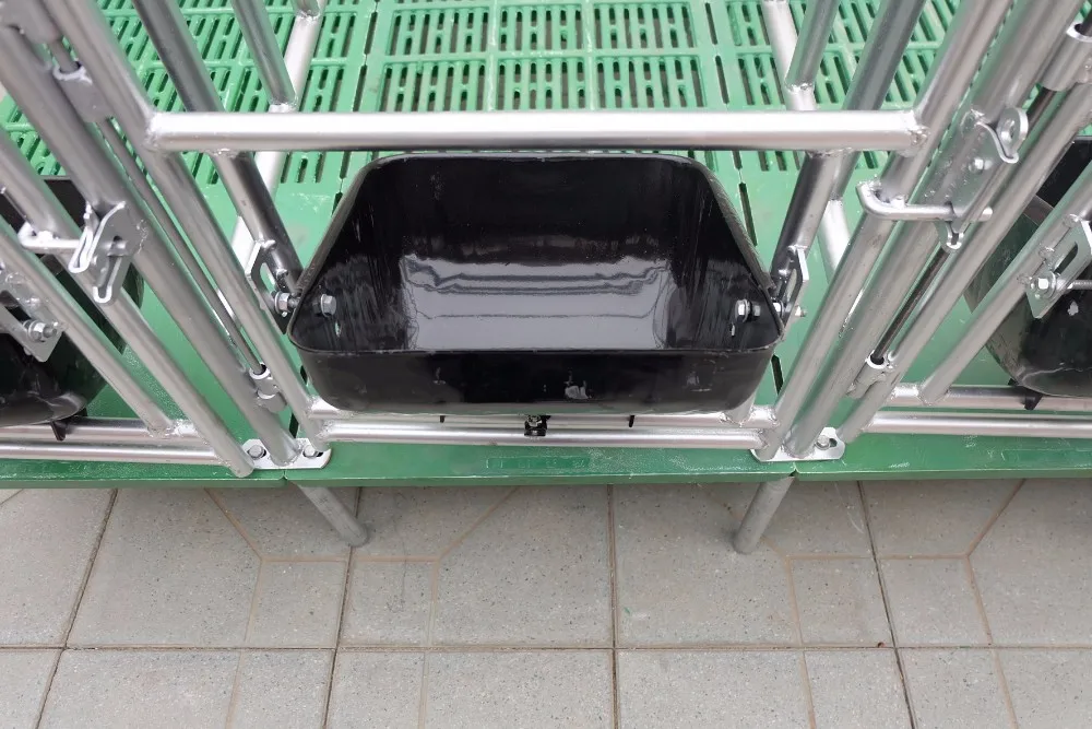Pig Raising Equipment - Durable Gestation Stalls
