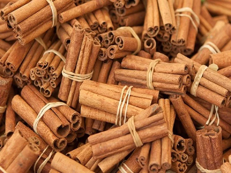 Vietnam Split Cassia - Split Cinnamon Whatsapp +84 947 900 124 - Buy ...