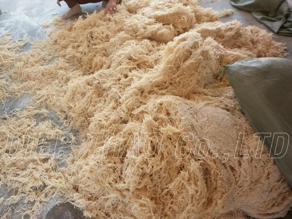 Raw Eucheuma Cottonii - Buy Dried Seaweed,Seamoss For Human,Purple ...