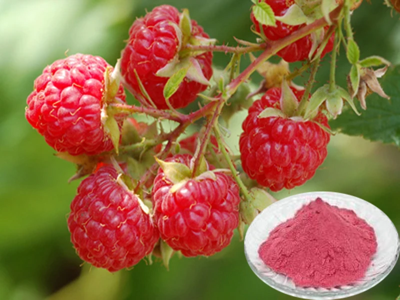 High Quality Raspberry Flavoring Powder For Food Additive - Buy ...