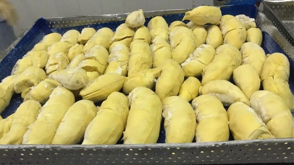 U Fresh Durian - 2019 Ri6 Durian Frozen Paste & Whole Flesh