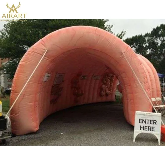 3m Height Inflatable Colon Model Tunnel For Medical Exhibition - Buy ...