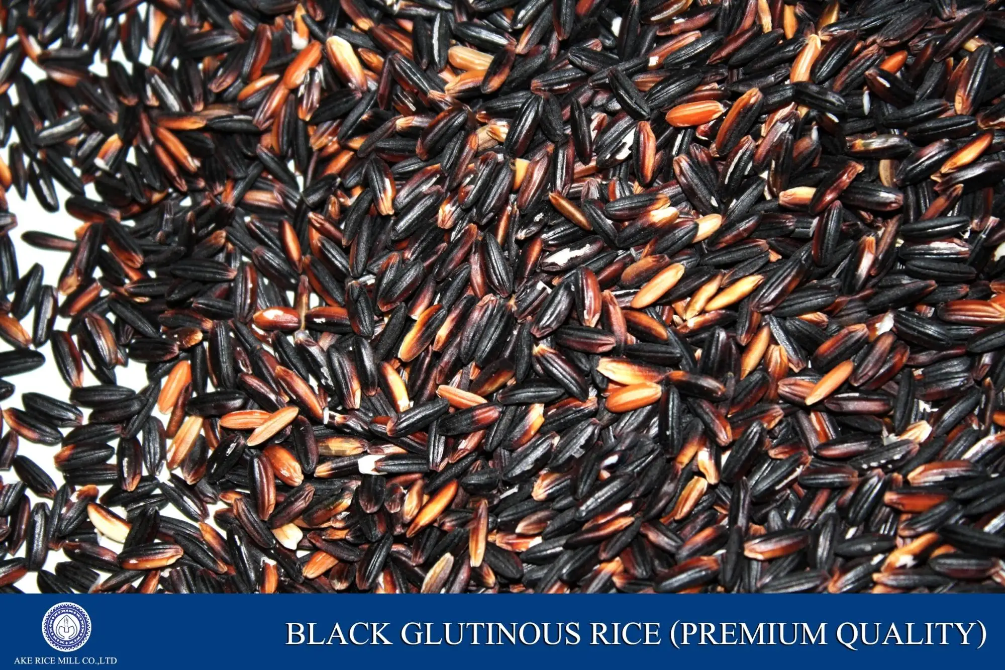 Thai Authentic Black Glutinous Rice ( High Quality ) - Buy Black Rice ...