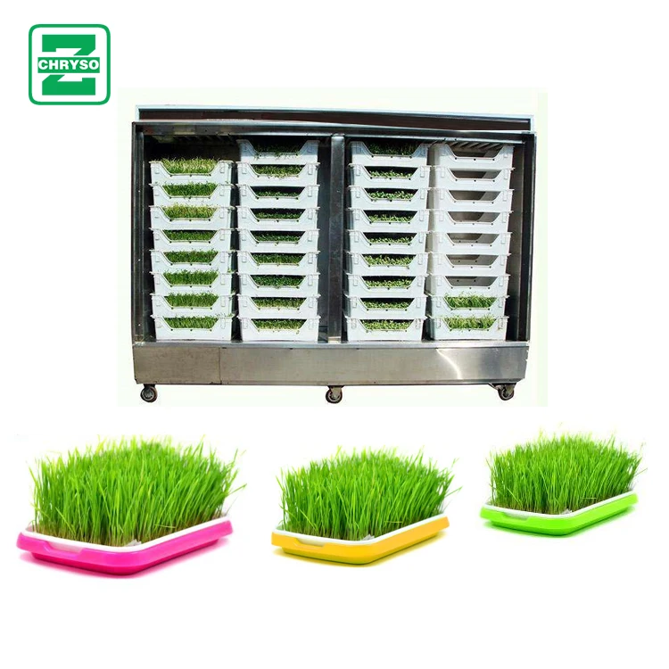 Seed Germination Equipment
