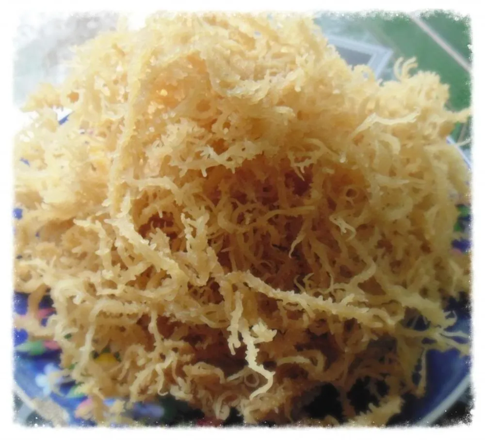 Dried Sargassum Seaweed Material For Fertilizer From Vietnam/best Grade ...