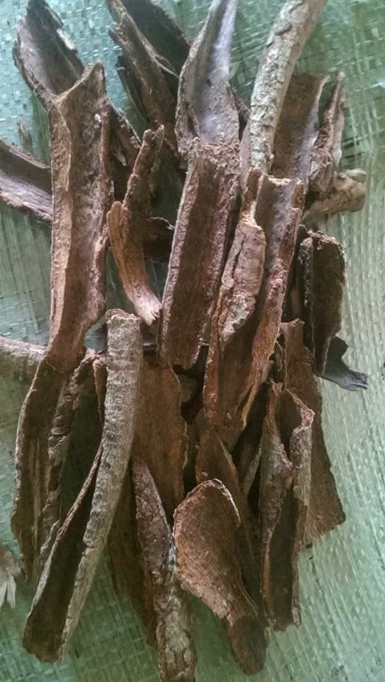 JOSS POWDER/TABU POWDER/MOSQUITO COIL, INCENSE STICK INGREDIENT