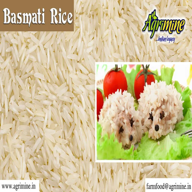 High Quality Basmati Rice Suppliers And Exporters Freshly Stocked ...