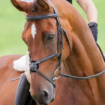 English Bridles,Horse Riding English Bridle,Wholesale Horse Equipment ...