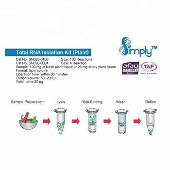Simply Total Rna Isolation Kit (plant) 100 Rxns - Buy Spin Column,Rna ...