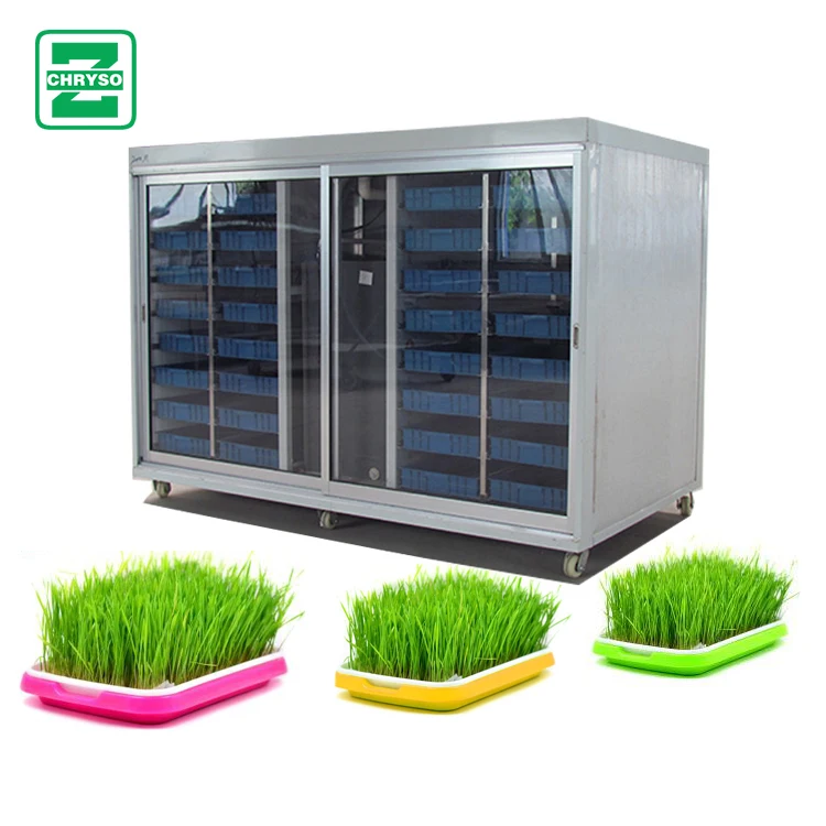 Hot Selling Bean Sprout Machine In Bean Product Processing Machinery ...