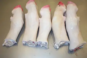 Beef Feet / Cow Leg For Sale - Buy Beef Feet / Cow Leg For Sale Product ...