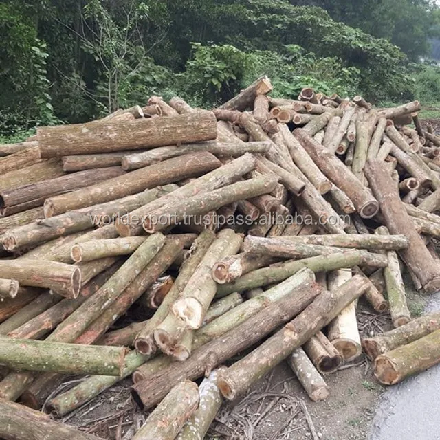 Rubber Wood Log Low Price Rubber Wood - Buy Rubber,Teak Wood Log Price ...