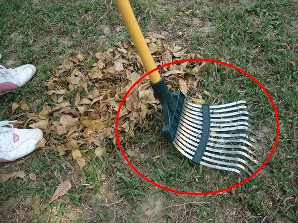 31 Tine Garden Flat Rake with Adjustable Flex Head