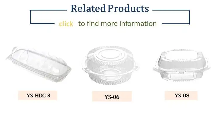 OPS Clear Chinese Dumpling Packaging Boxes - Disposable