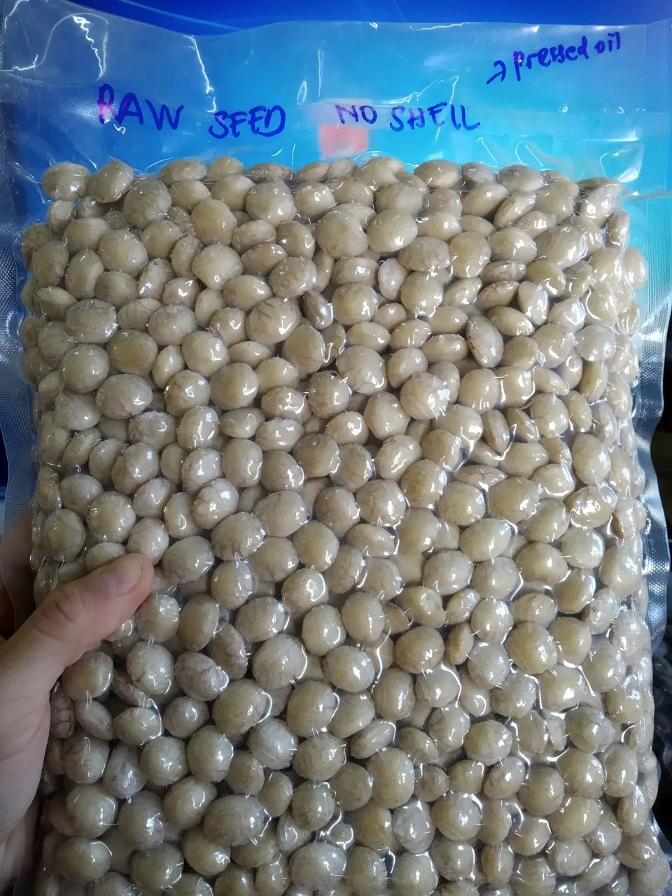 Vietnam Dried Sacha Inchi Seeds - High Quality & Cheap Price