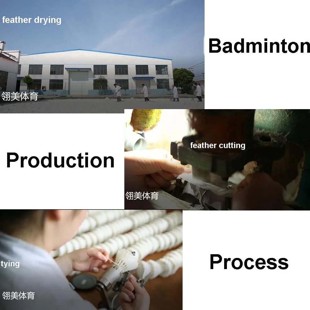 Aeroplane Black Label Eg1130 Goose Feather Shuttlecocks - Buy Aeroplane ...