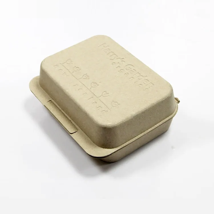 Eco-friendly Sugar Cane Pulp Boxes - Biodegradable Packaging