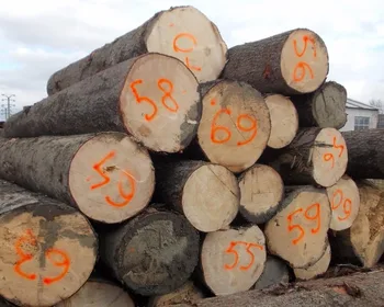 Spruce Logs - Buy Spruce,White Spruce Logs,Spruce Wood Logs Product on ...