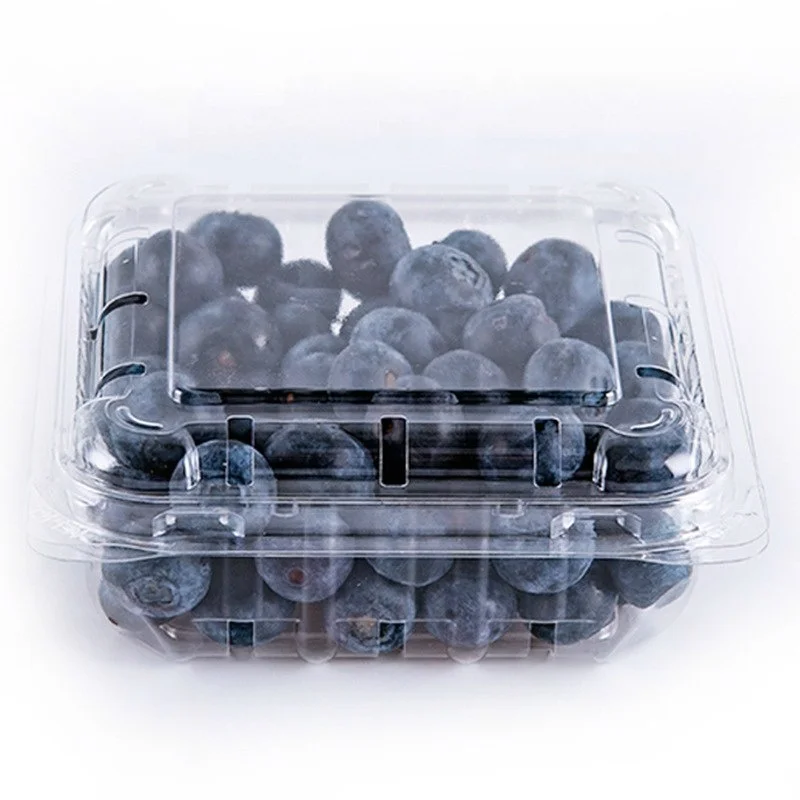 125G Disposable Plastic Clamshell for Blueberry Packaging